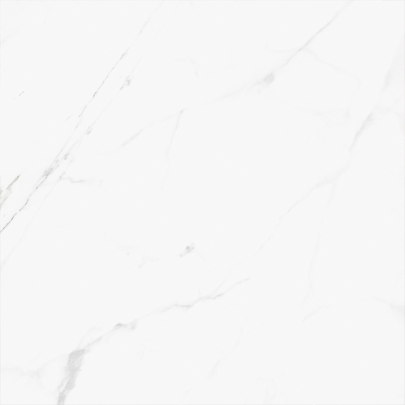 Ever Matt Blanco 60.8x60.8cm | Diplon Kupatila